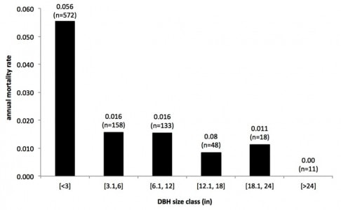 How Many Trees are Enough? Tree Death and the Urban Canopy | Scenario ...