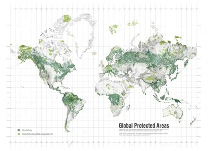 Building the Global Forest | Scenario Journal