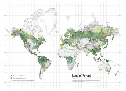 Building the Global Forest | Scenario Journal
