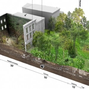 Building the Urban Forest | Scenario Journal