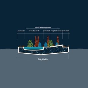 Carbon T.A.P. | Scenario Journal