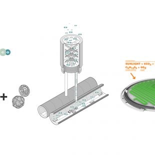 Carbon T.A.P. | Scenario Journal