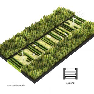 National HEDGE | Scenario Journal